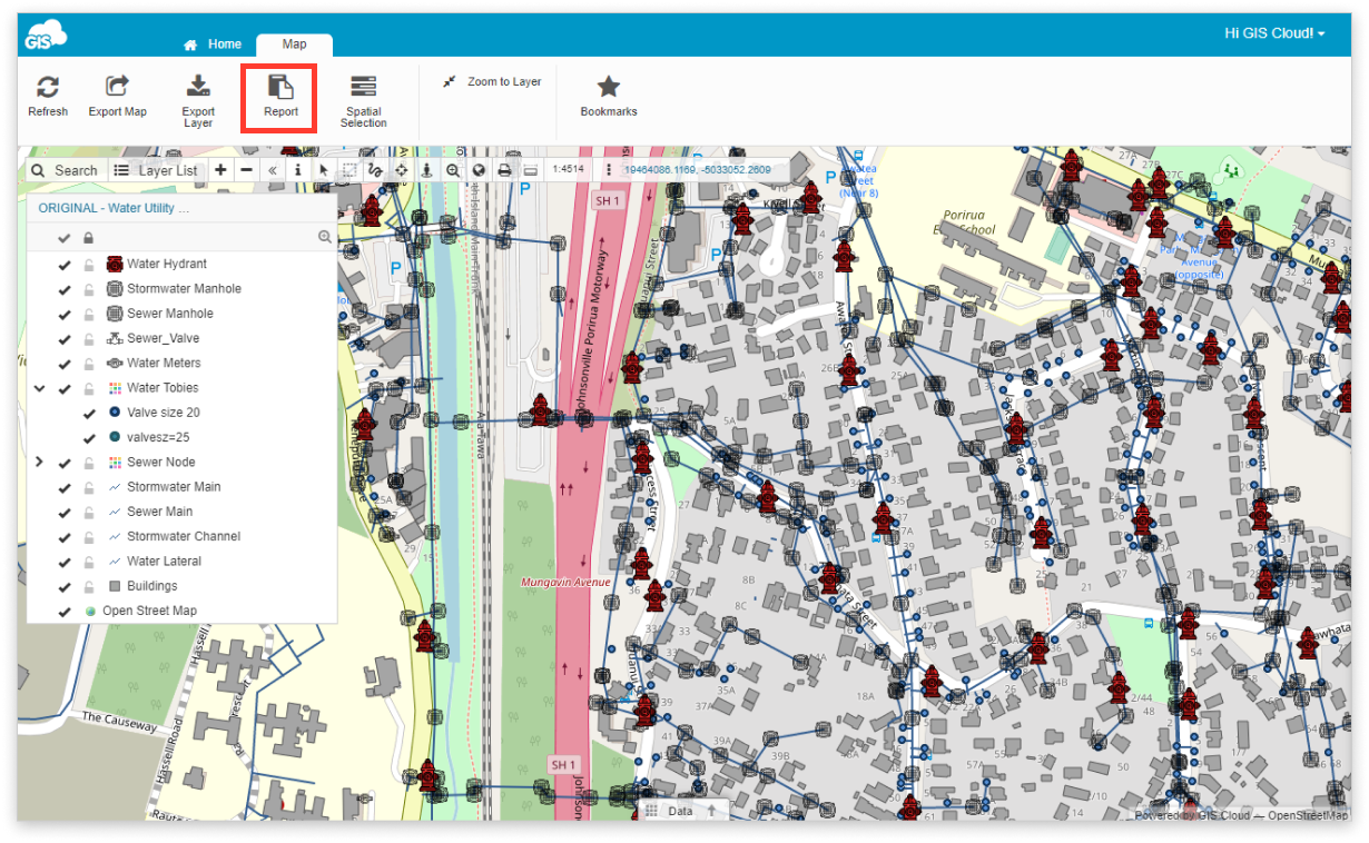 Report In Map Viewer Gis Cloud Learning Center